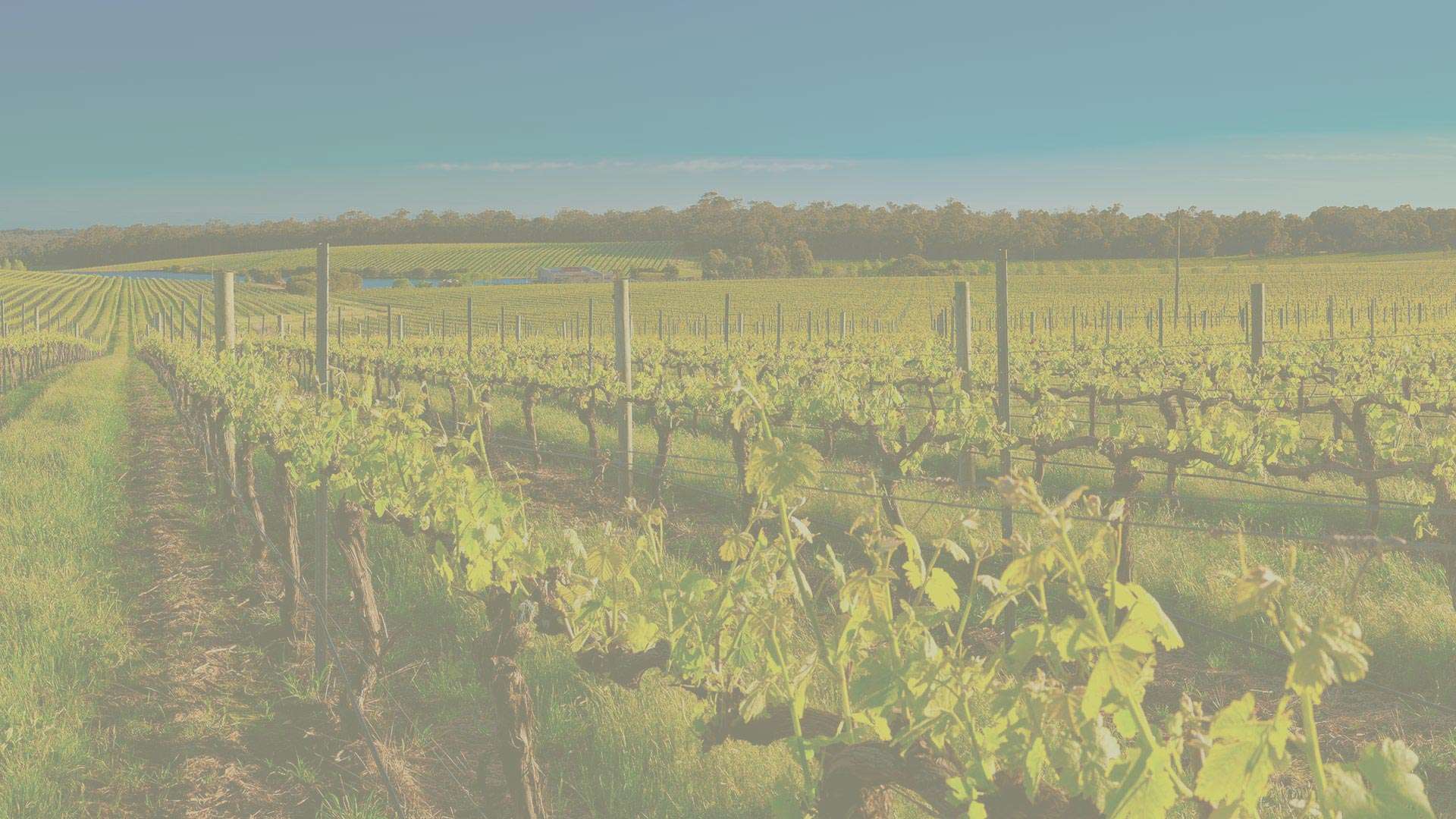 Our Team | Buildcraft WA